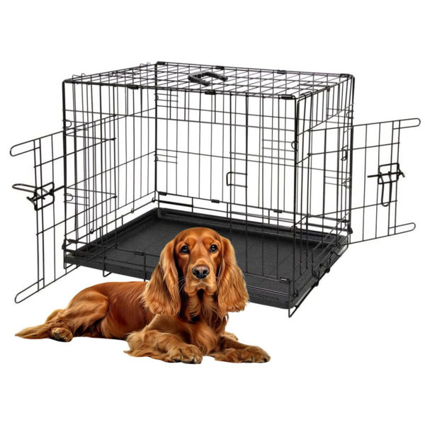 Archie & Oscar Metal Dog House with 2 Doors | Wayfair.co.uk