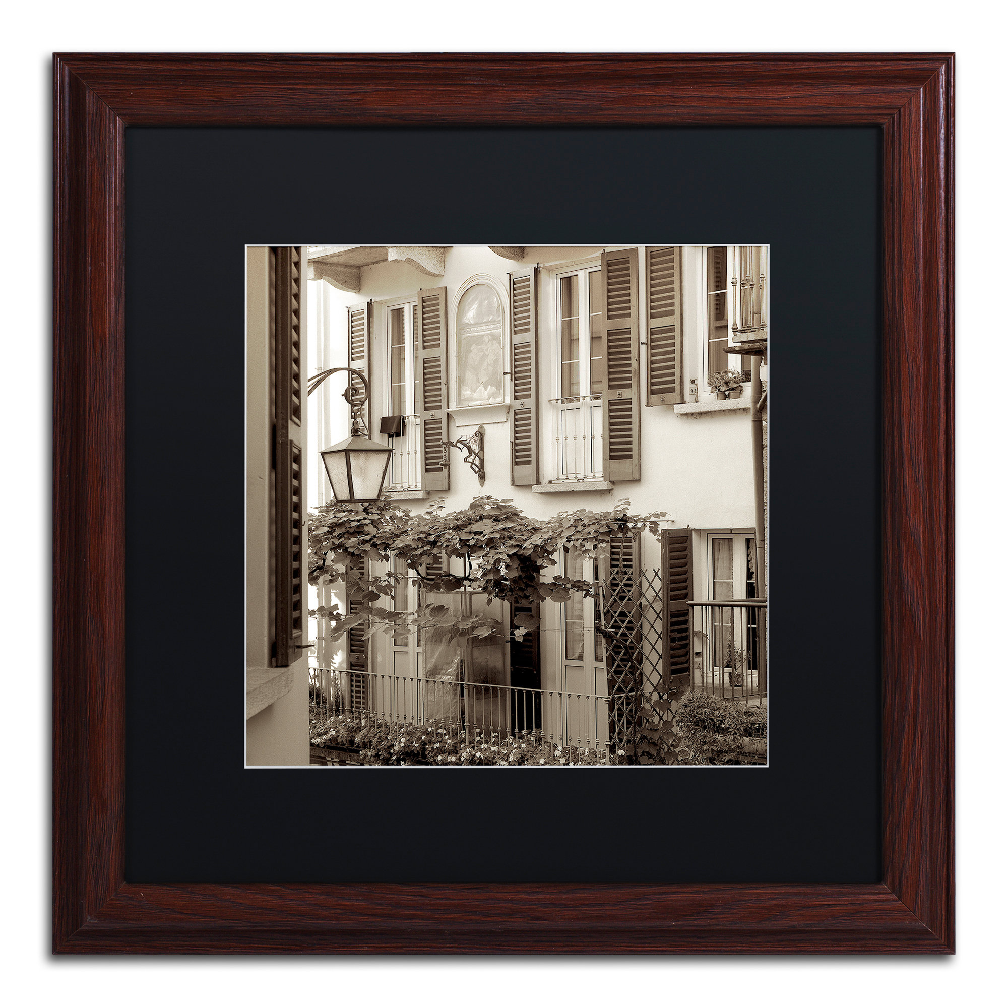 Ebern Designs Alan Blaustein 'Bellagio I' Framed Photographic Print ...