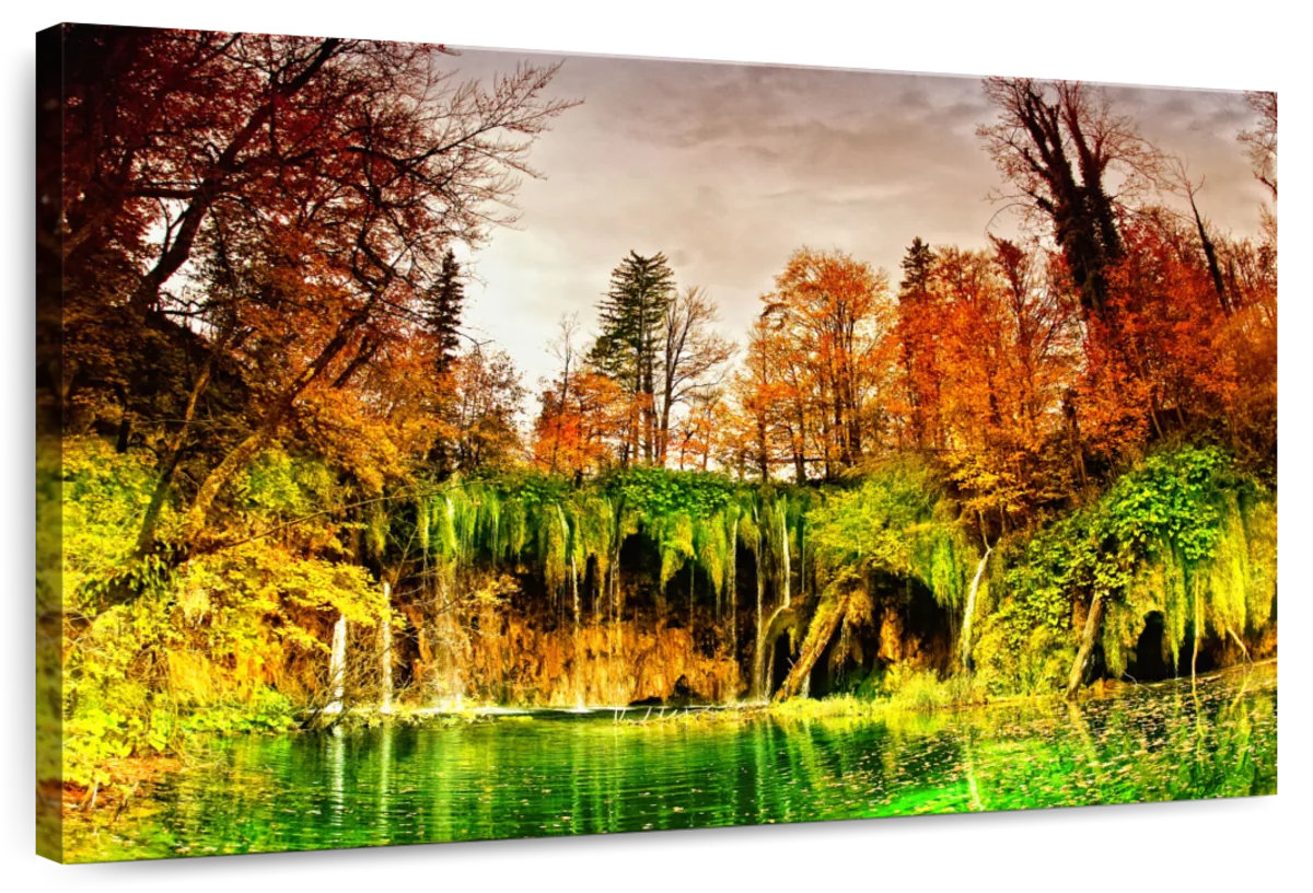 Millwood Pines Alvord Autumn Forest Trees | Wayfair