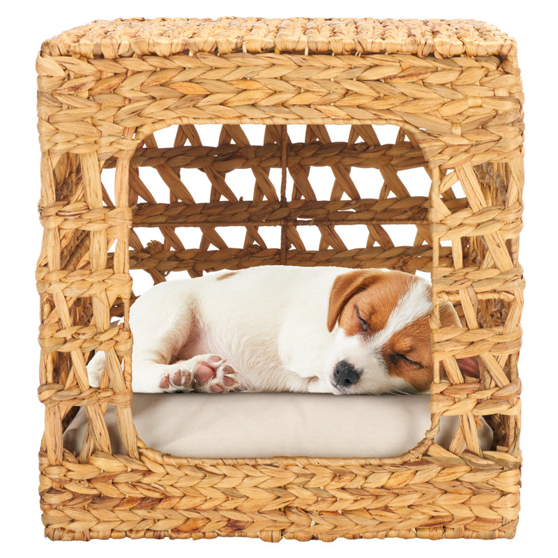 Archie & Oscar™ Ivie Pet Bed & Reviews | Wayfair
