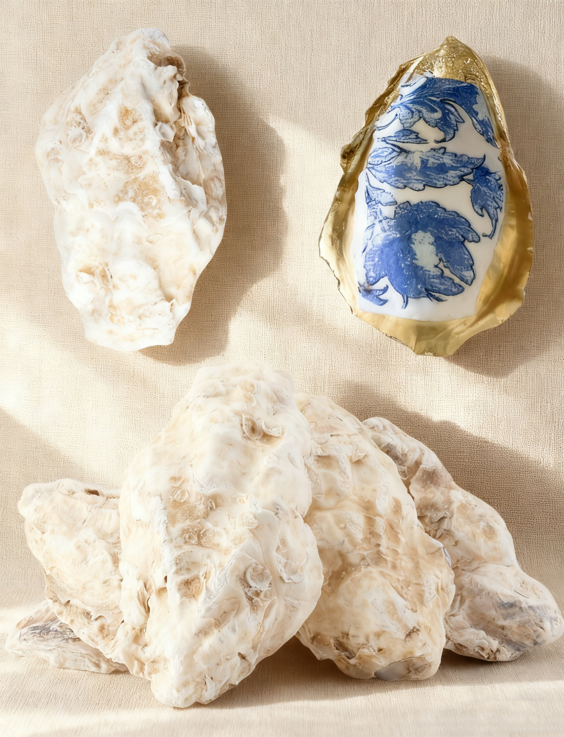 Dovecove 10Pcs Extra Large Oyster Shells 5-6 Inch, Natural Clean Odor ...