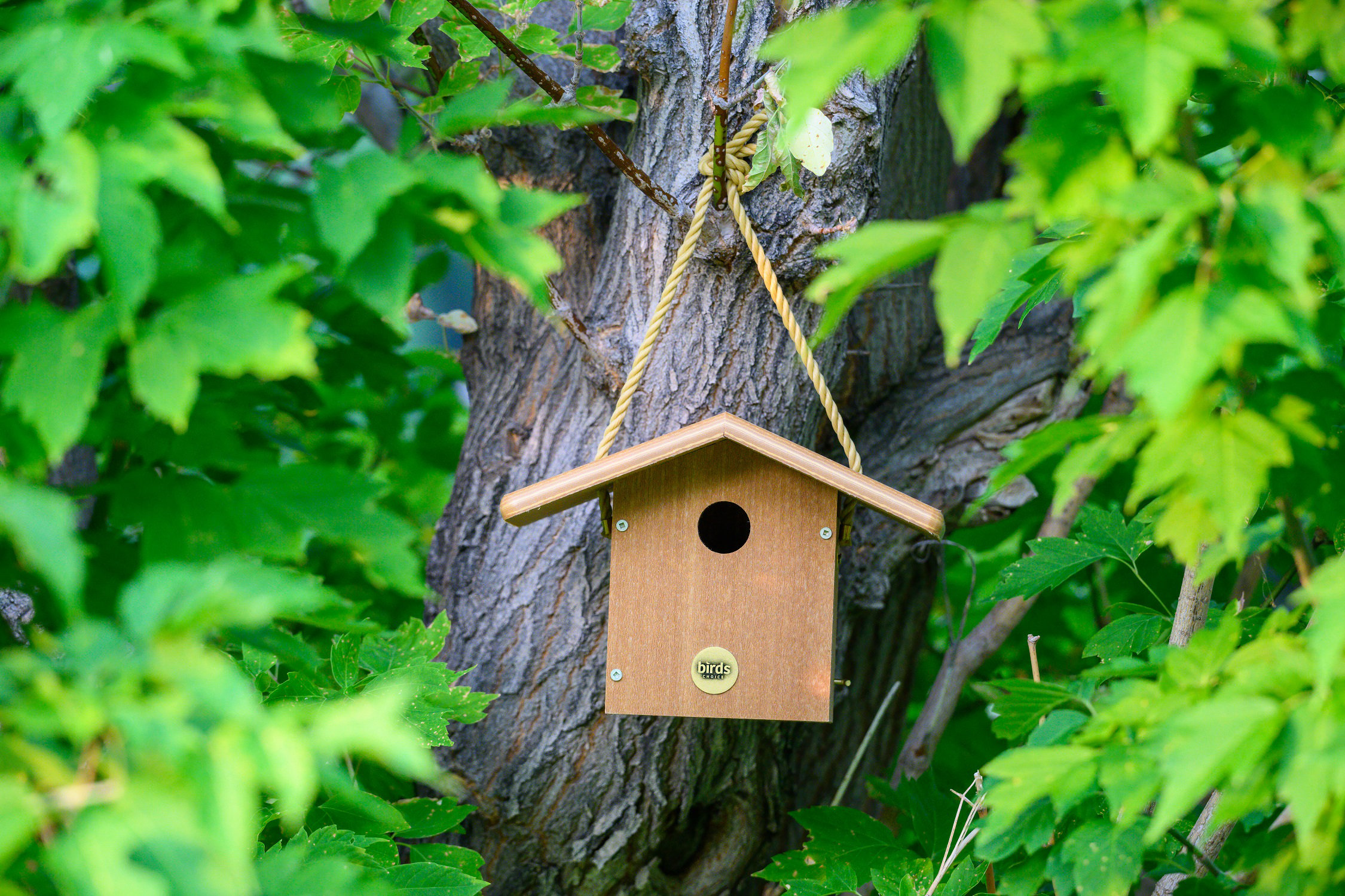 Birds Choice Modern Farmhouse Wren House - Wayfair Canada