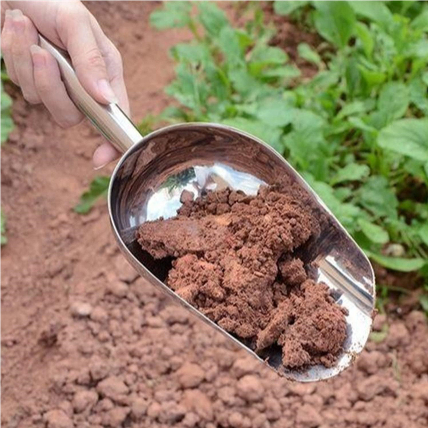 Tsyware 4 -Piece Stainless Steel Measuring Scoop Set | Wayfair