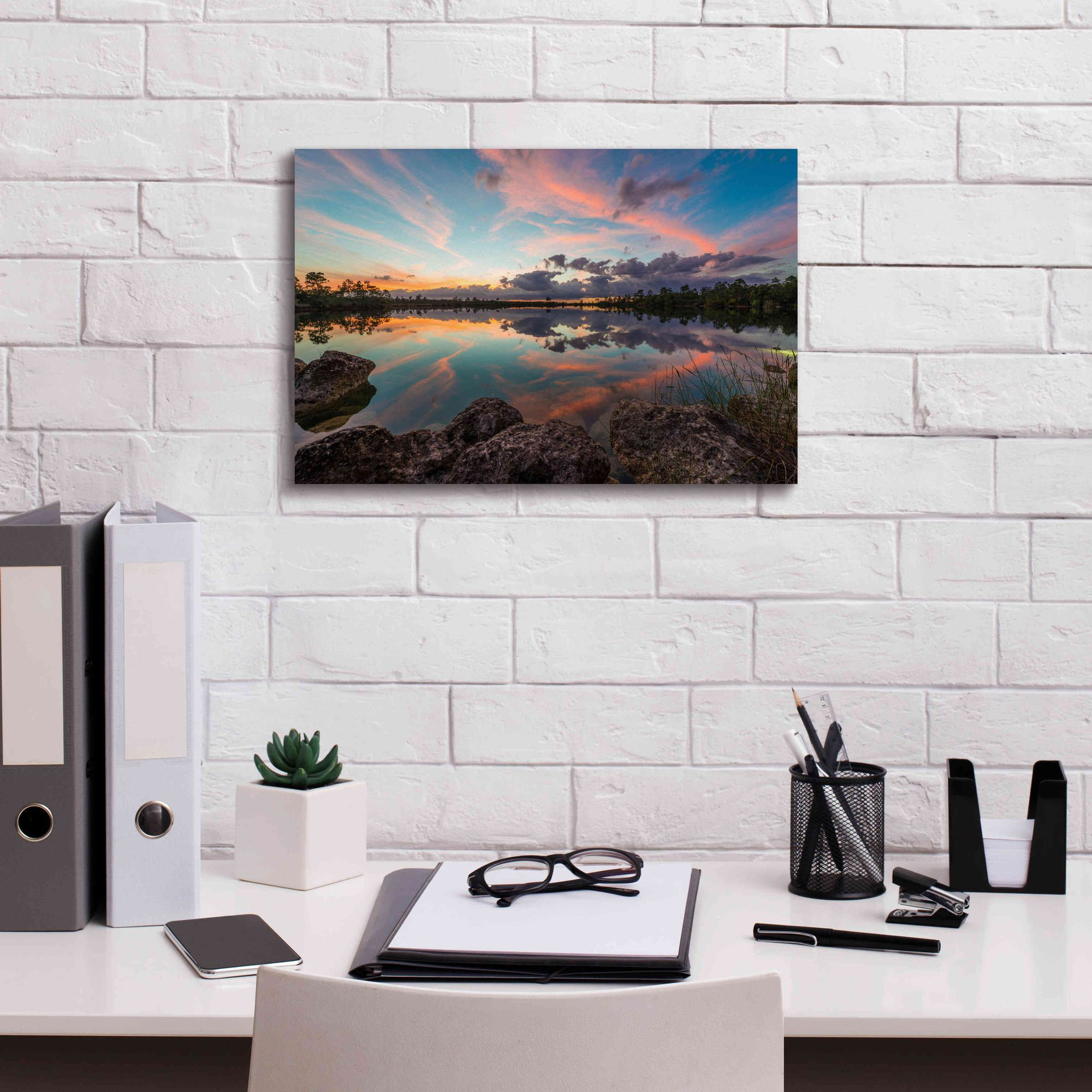 Latitude Run® Everglades On Canvas by Edin Chavez Print | Wayfair