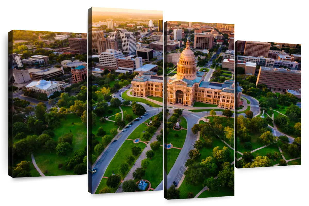 Elephant Stock Austin City View | Wayfair