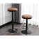 Latitude Run® Reld Swivel Adjustable Height Stool & Reviews | Wayfair