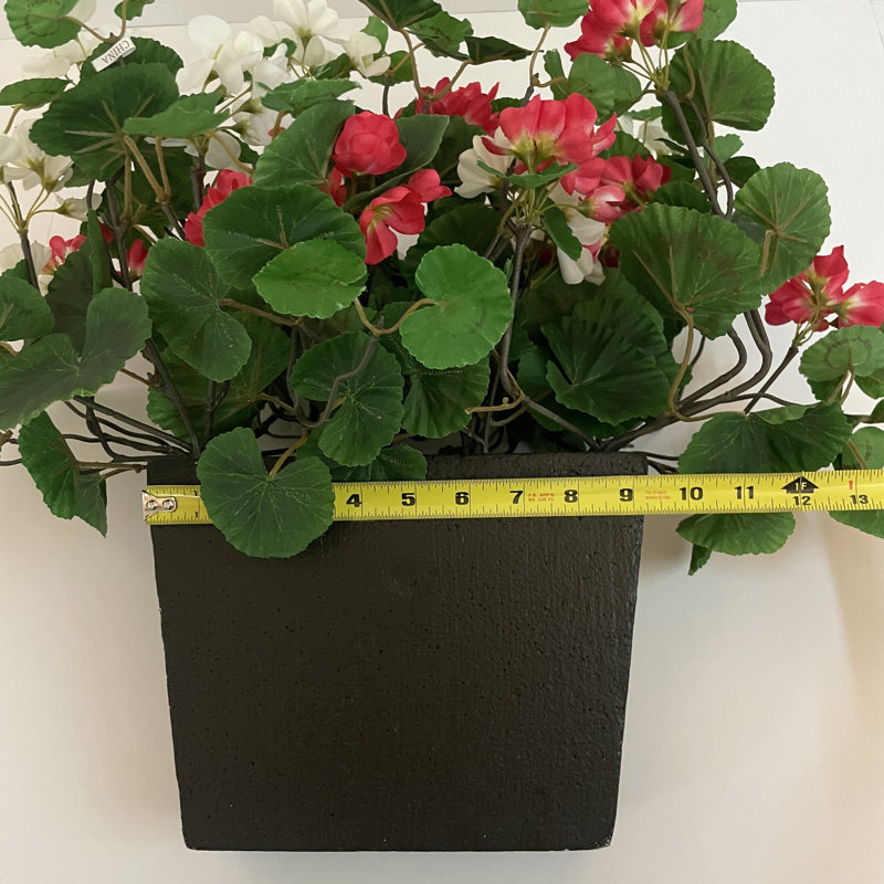 Primrue Geranium Window Box | Wayfair