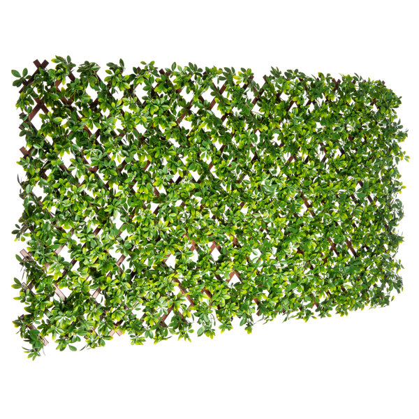 Naturae Decor 0.3 ft. H x 4 ft. W Polyethylene Privacy Screen & Reviews ...