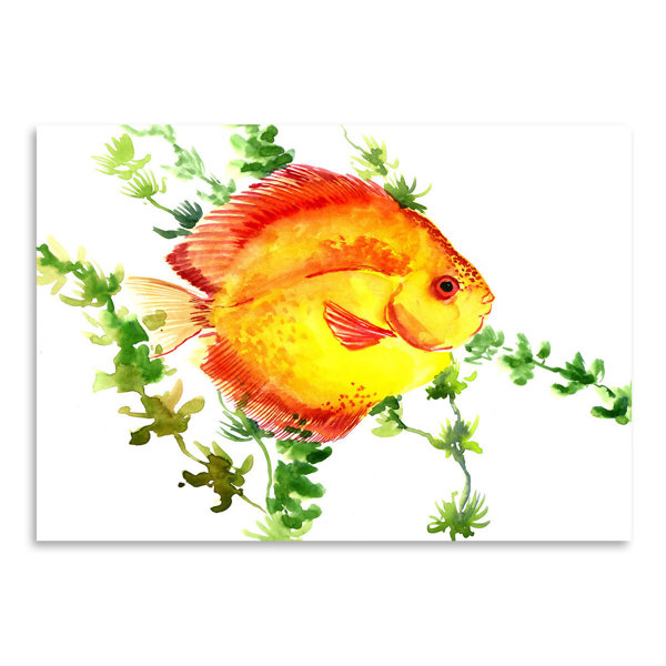 House of Hampton Discus Fish 2 by Suren Nersisyan - Poster Art Print ...