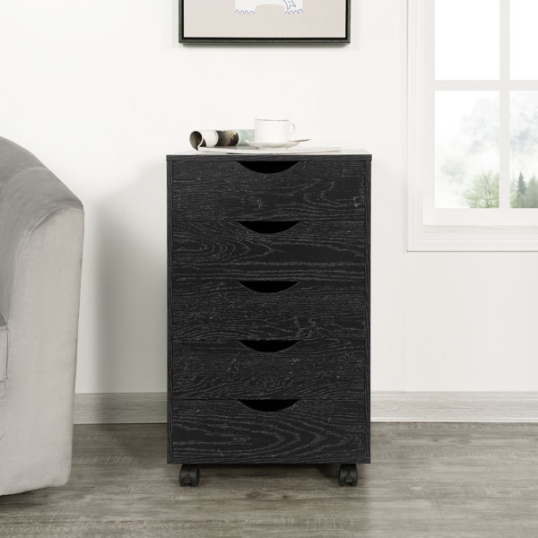 Ebern Designs Bucherie Elegant 5-Drawer Decorative Filing Cabinet on ...