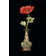 Rosalind Wheeler Poppy Magic II by Vision Studio - Wrapped Canvas Art ...