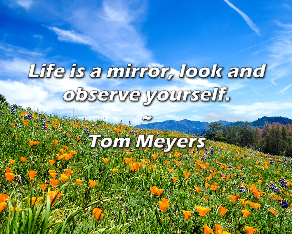 Latitude Run® Tom Meyers Quote: Life is a mirror, look and observe ...