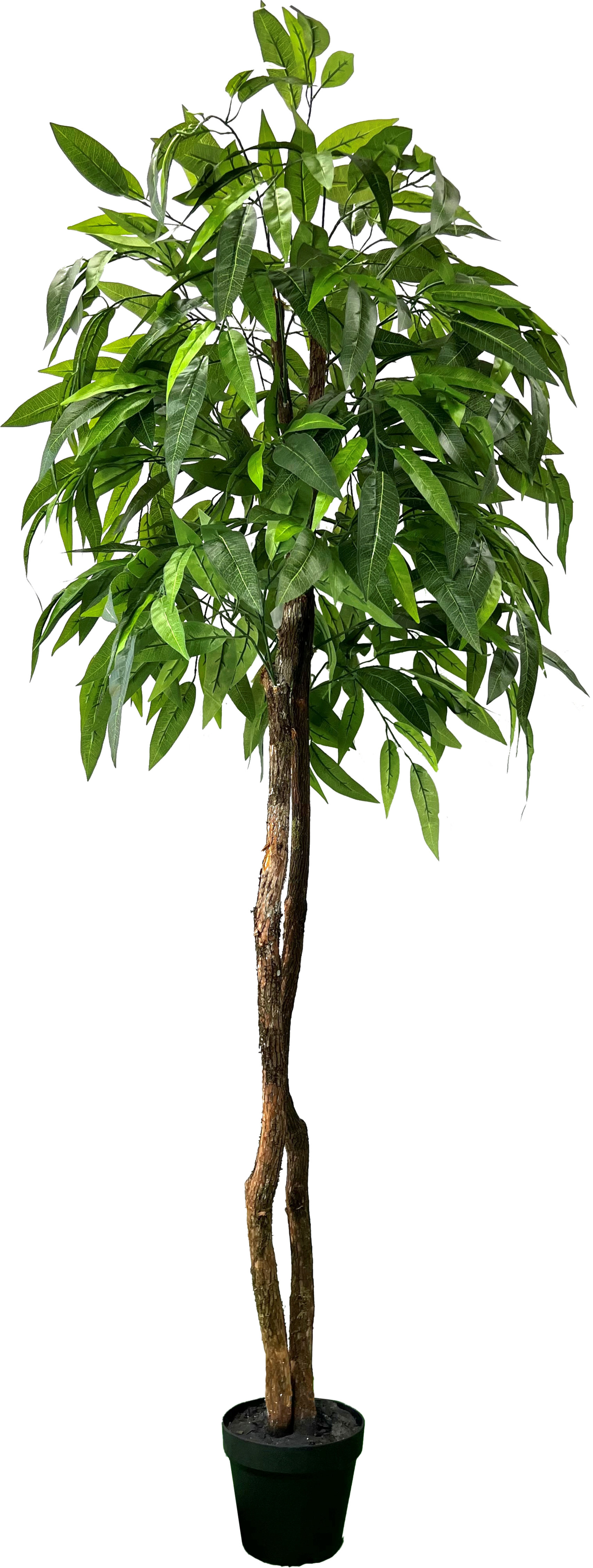 Primrue Hand-Made Primrue All Seasons 6'' Artificial Mango Tree | Wayfair