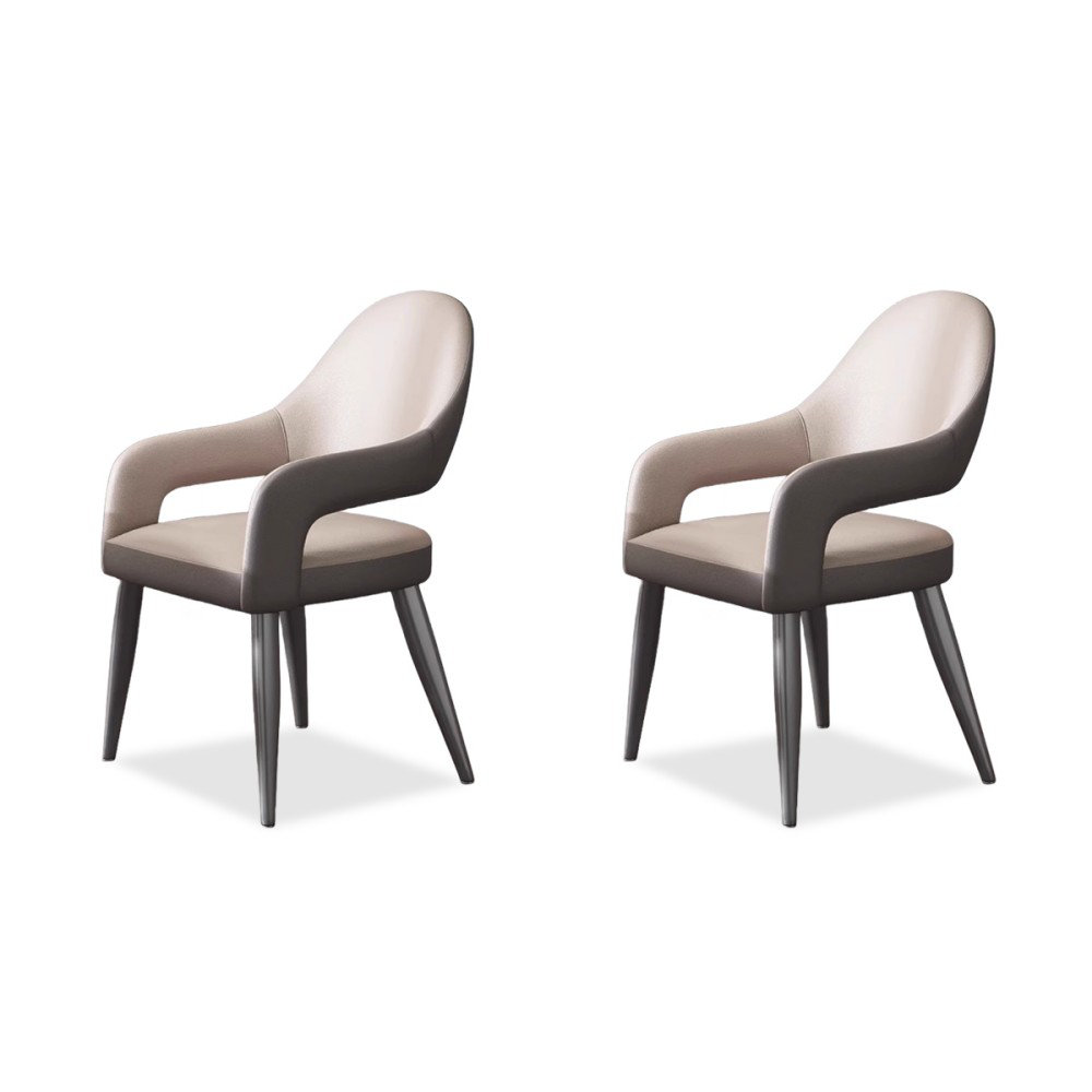 Mass Furni Solid back side Chair(Set of 2) | Wayfair