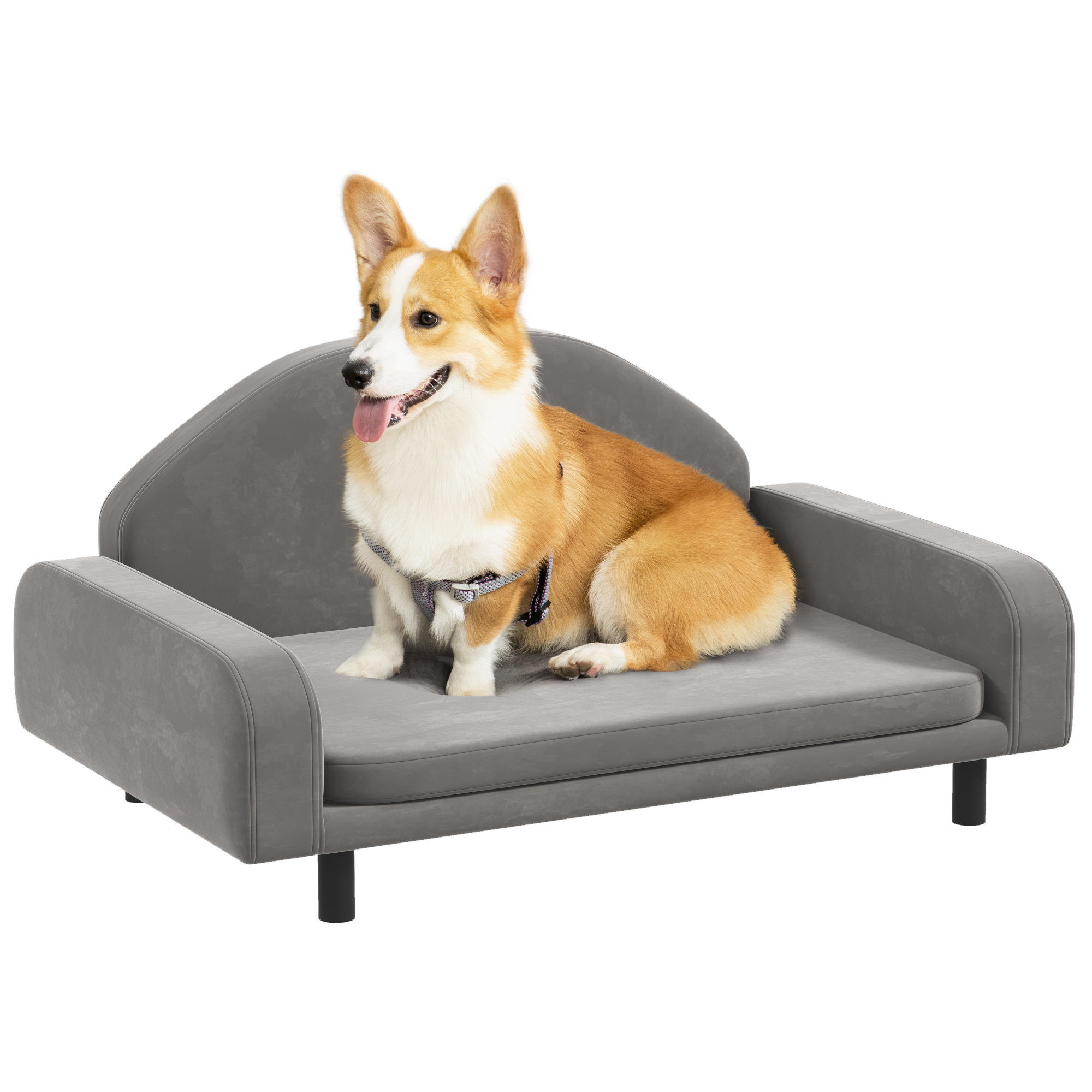 Corrigan Studio® PawHut Raised Dog Sofa | Wayfair
