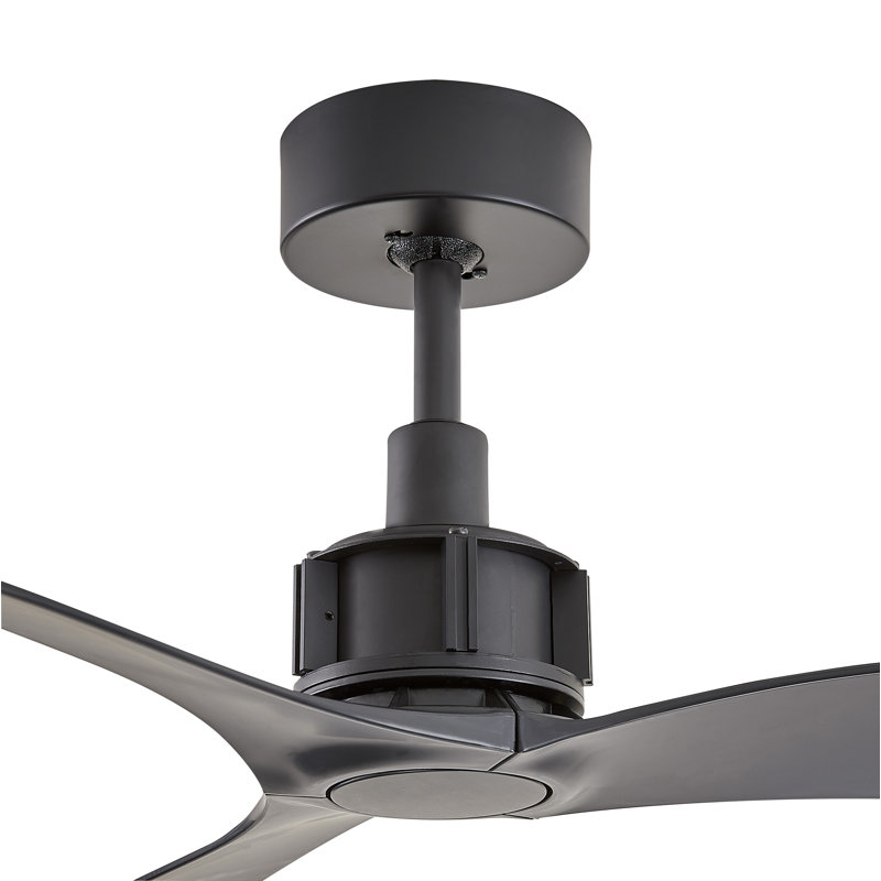 AllModern Zelda 52'' Ceiling Fan & Reviews | Wayfair
