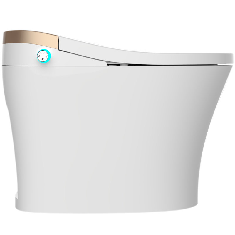 Cosvalve 1.28 GPF Elongated Chair Height Floor Mounted Bidet Toilet ...