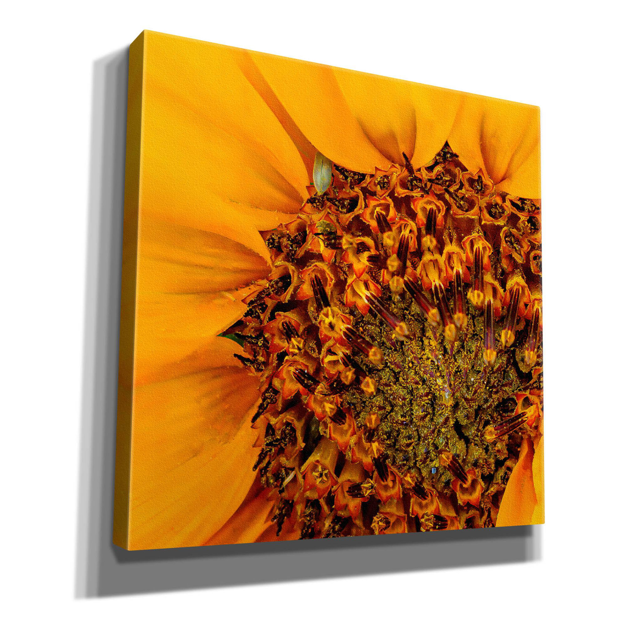 Latitude Run® Closer You Get On Canvas by Pamela Plummer Print | Wayfair