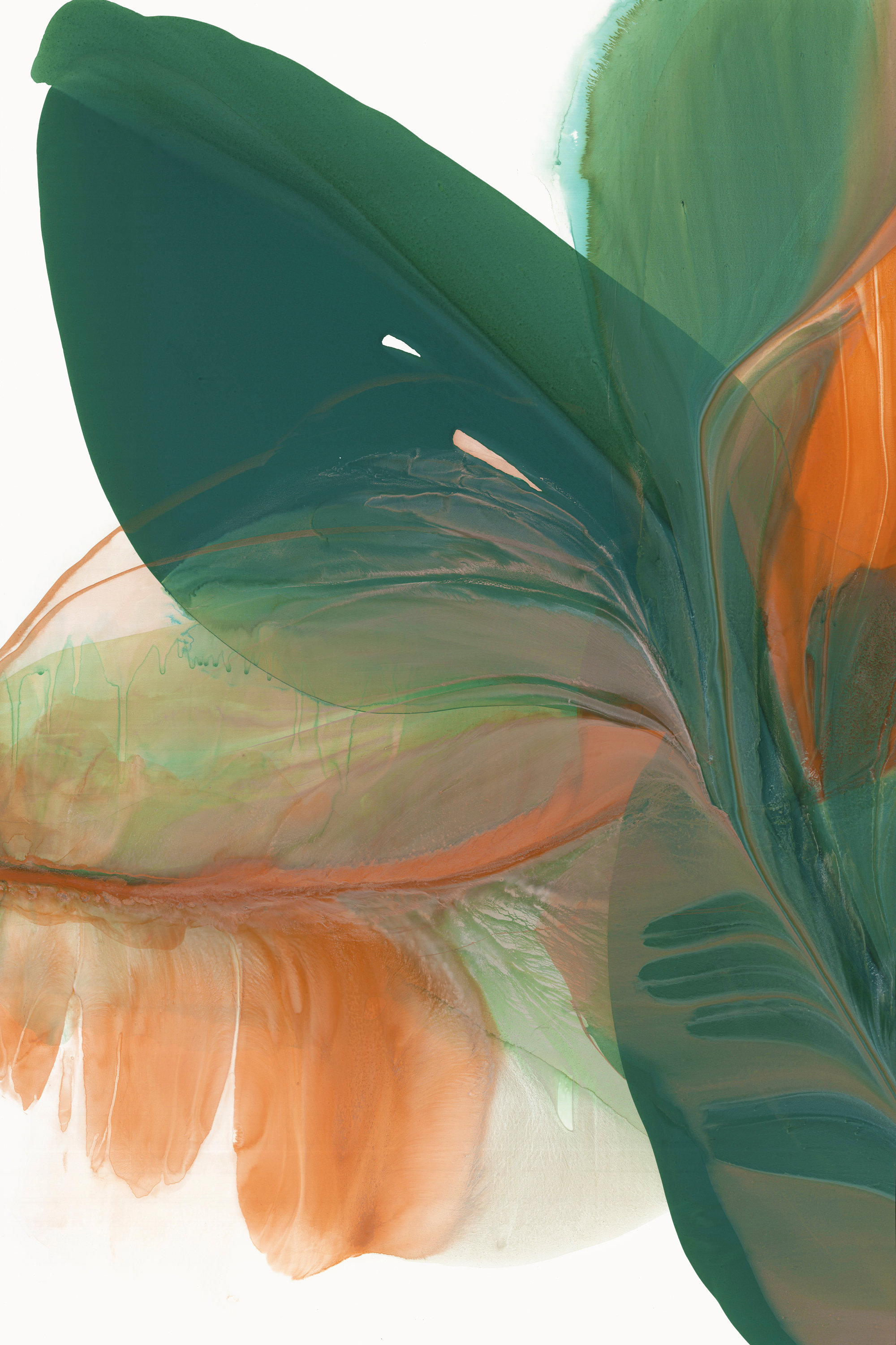 Bay Isle Home™ Perroquet vert I - Wayfair Canada