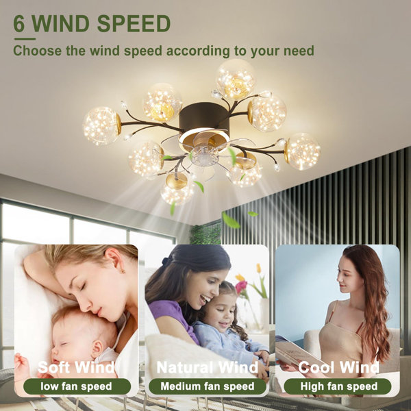 Mercer41 Jaisiah 33.07'' Ceiling Fan with 8 LED Lights | Wayfair