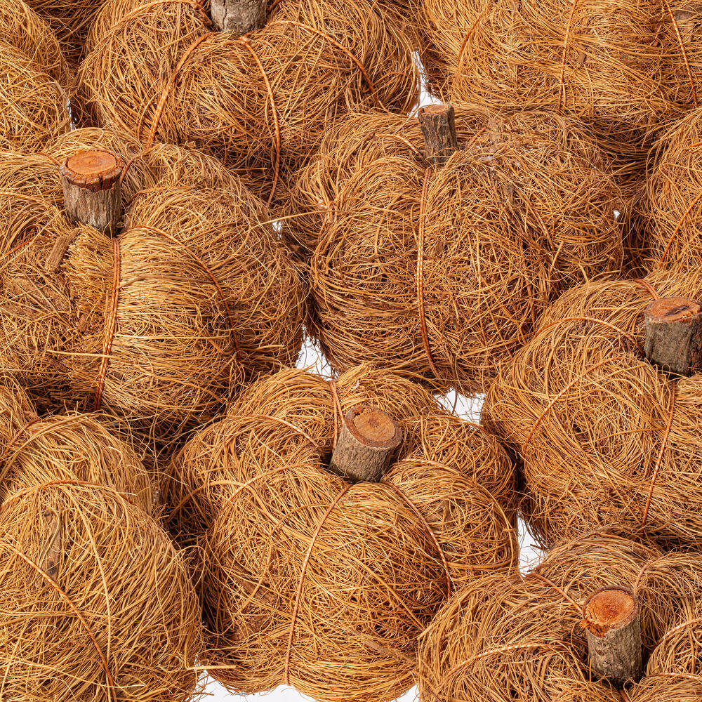 Gracie Oaks Botanicals Dried 2.5-3 inch Hand Crafted Coconut Coir ...