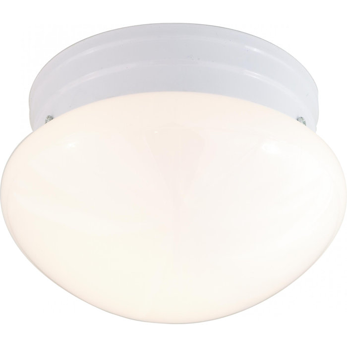 Winston Porter Janice 1 - Bulb Outdoor Flush Mount & Reviews | Wayfair