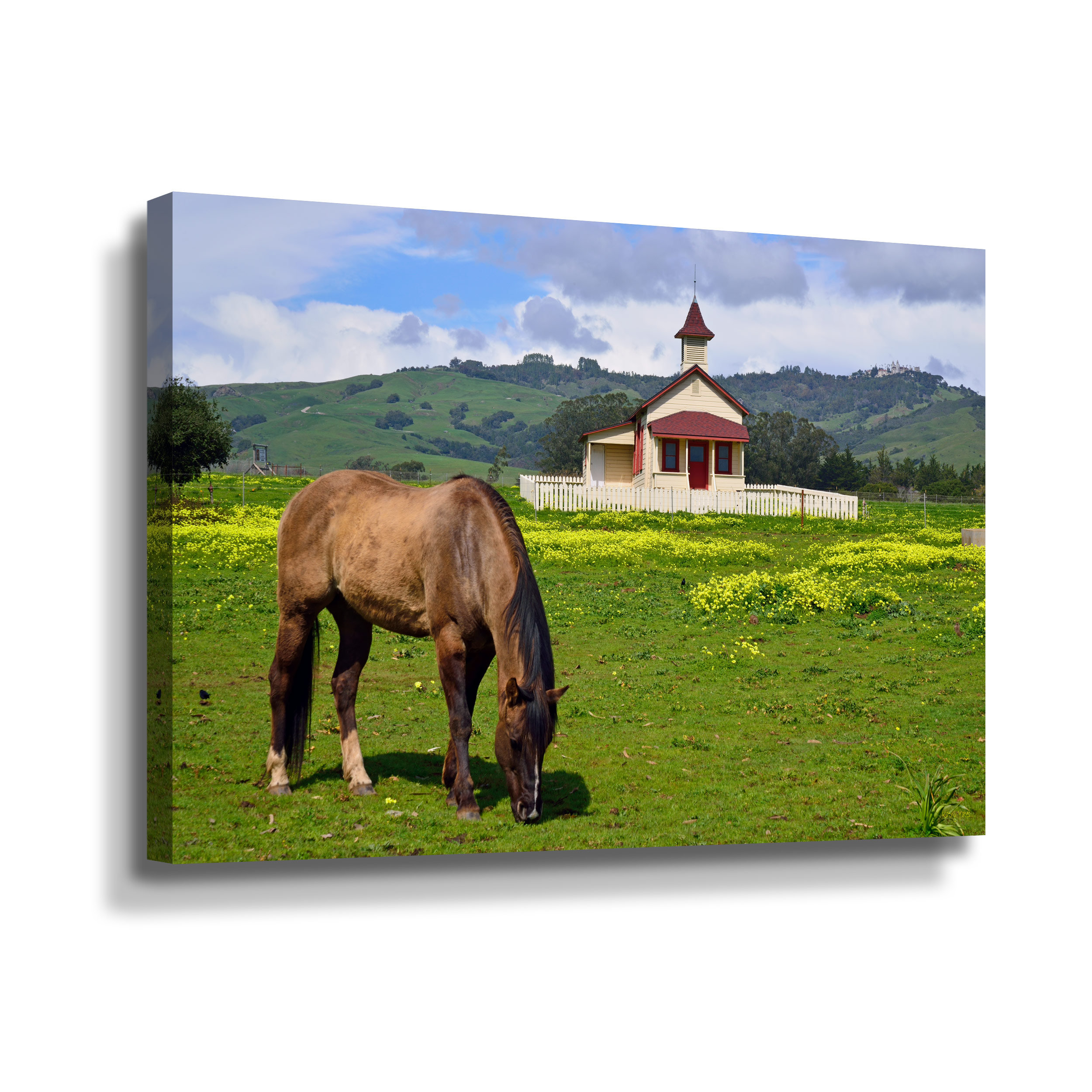 Wayfair Canada - Online Home Store for Furniture, Decor, Outdoors & More