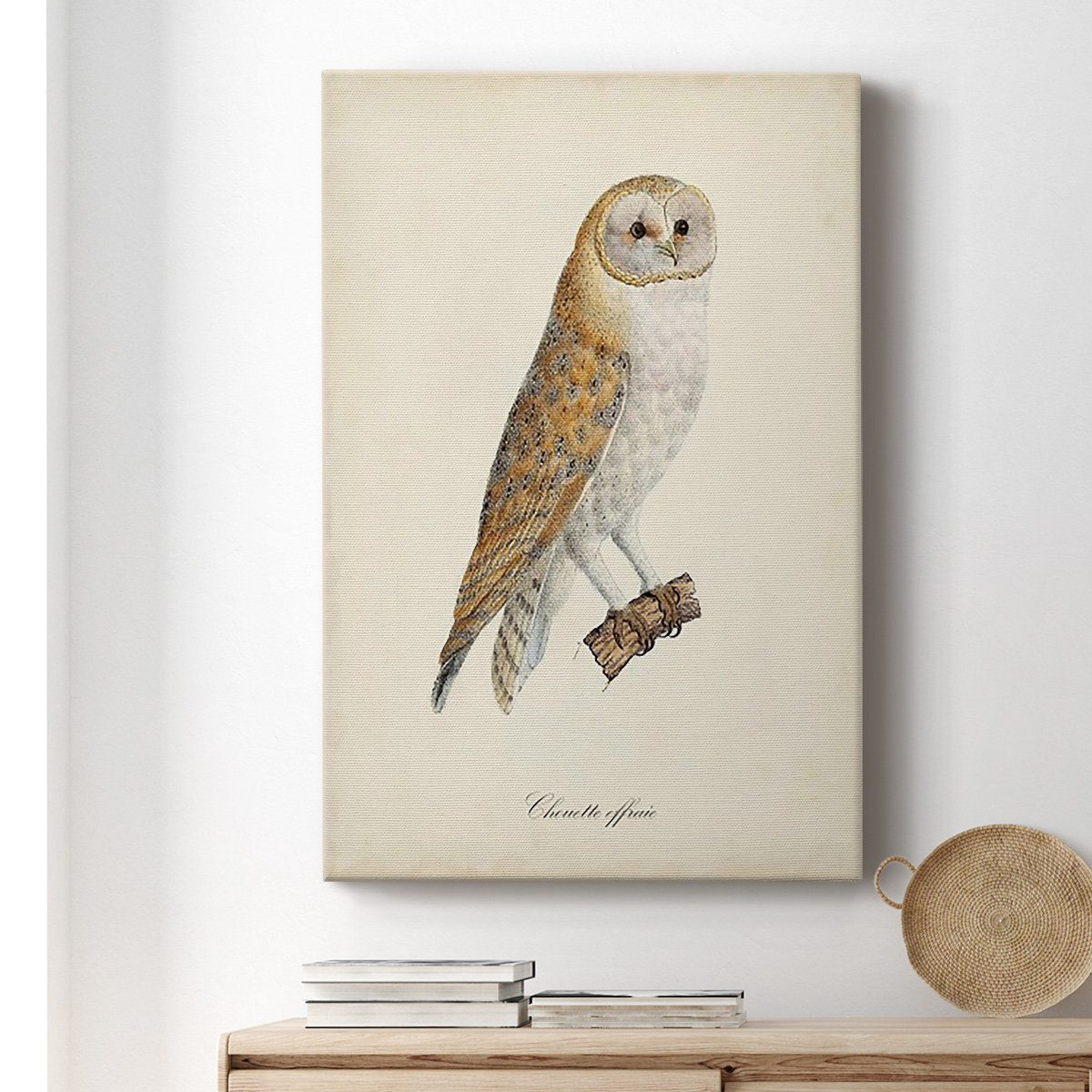 Millwood Pines French Owls VI Premium Gallery Wrapped Canvas - Ready To ...