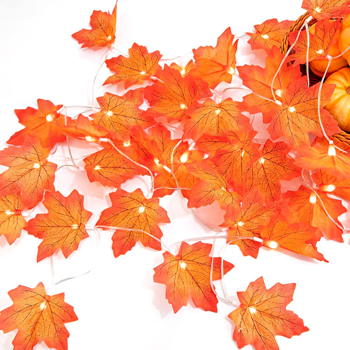 The Holiday Aisle® Maple Leaves String Lights Fall Decor & Reviews ...