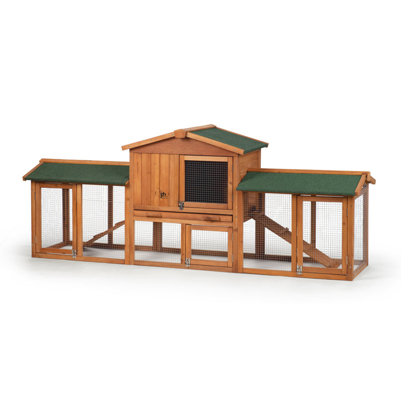 Archie & Oscar™ Lovern Weather Resistant Rabbit Hutch with Ramp | Wayfair