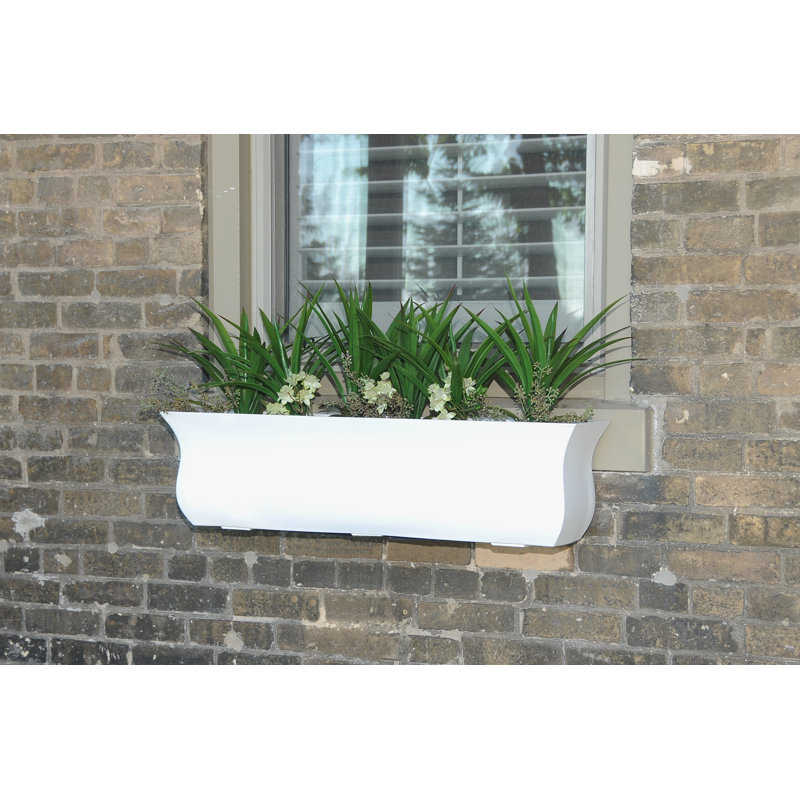 Winston Porter Clywd Self Watering Plastic Window Box Planter & Reviews ...