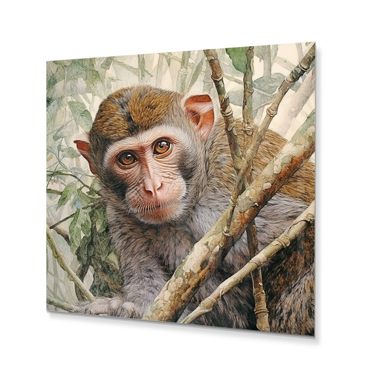 Bungalow Rose Wild Monkey IV - Animals Metal Wall Decor - Wayfair Canada