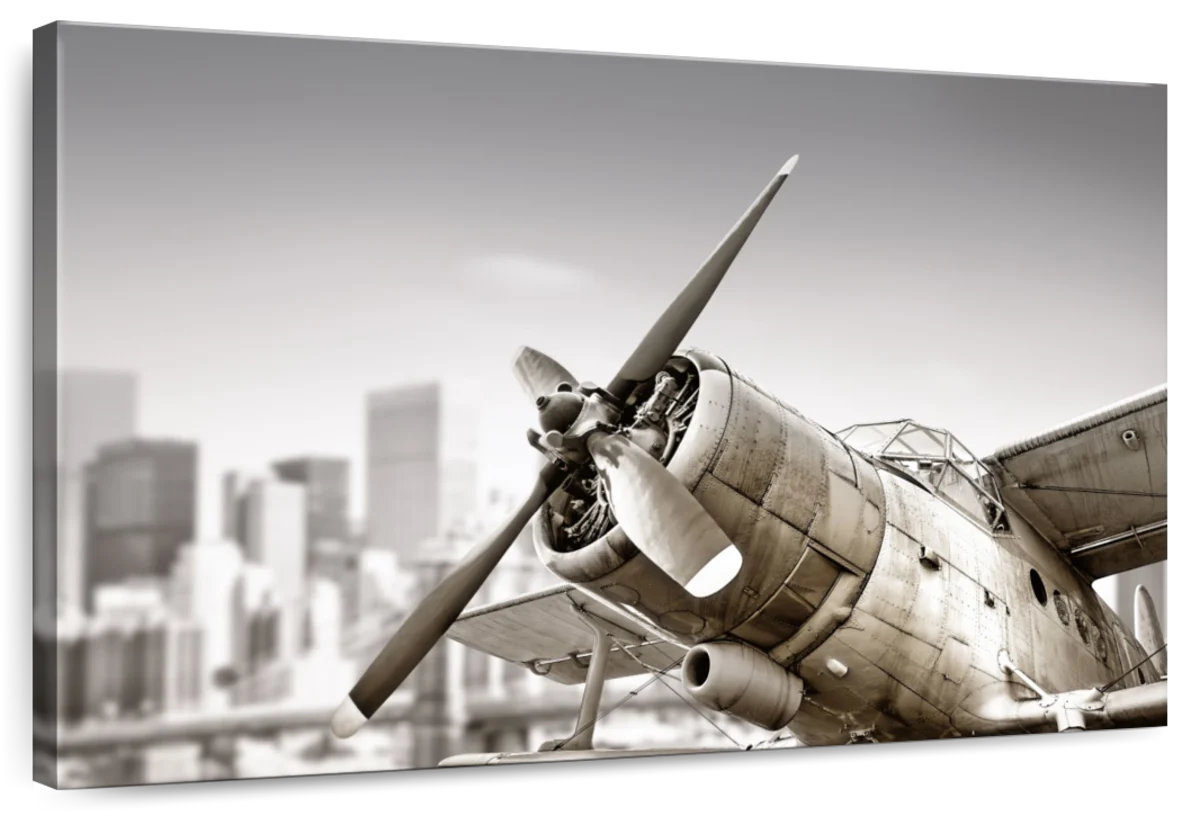 Ebern Designs Mehar Rustic Airplane | Wayfair