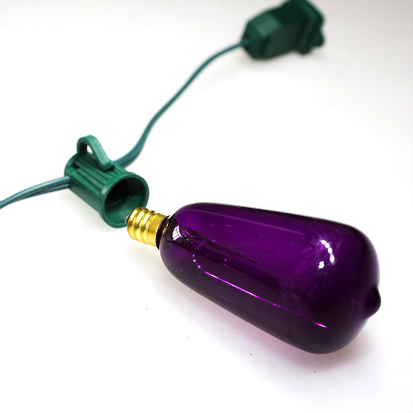 The Holiday Aisle® Gustave 12' Indoor 10 - Bulb Standard String Light ...