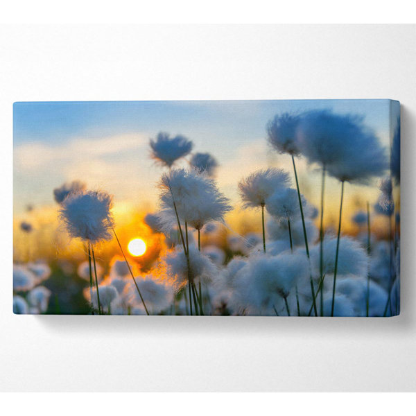 Ivy Bronx Cottonbuds In The Sunset Wide Canvas Print | Wayfair.co.uk