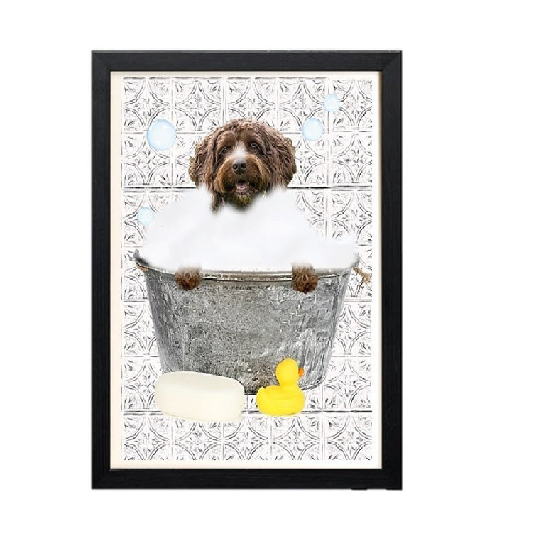 Maturi Brown Cockapoo In Bath Print - Chocolate Cockerpoo Picture - Dog ...