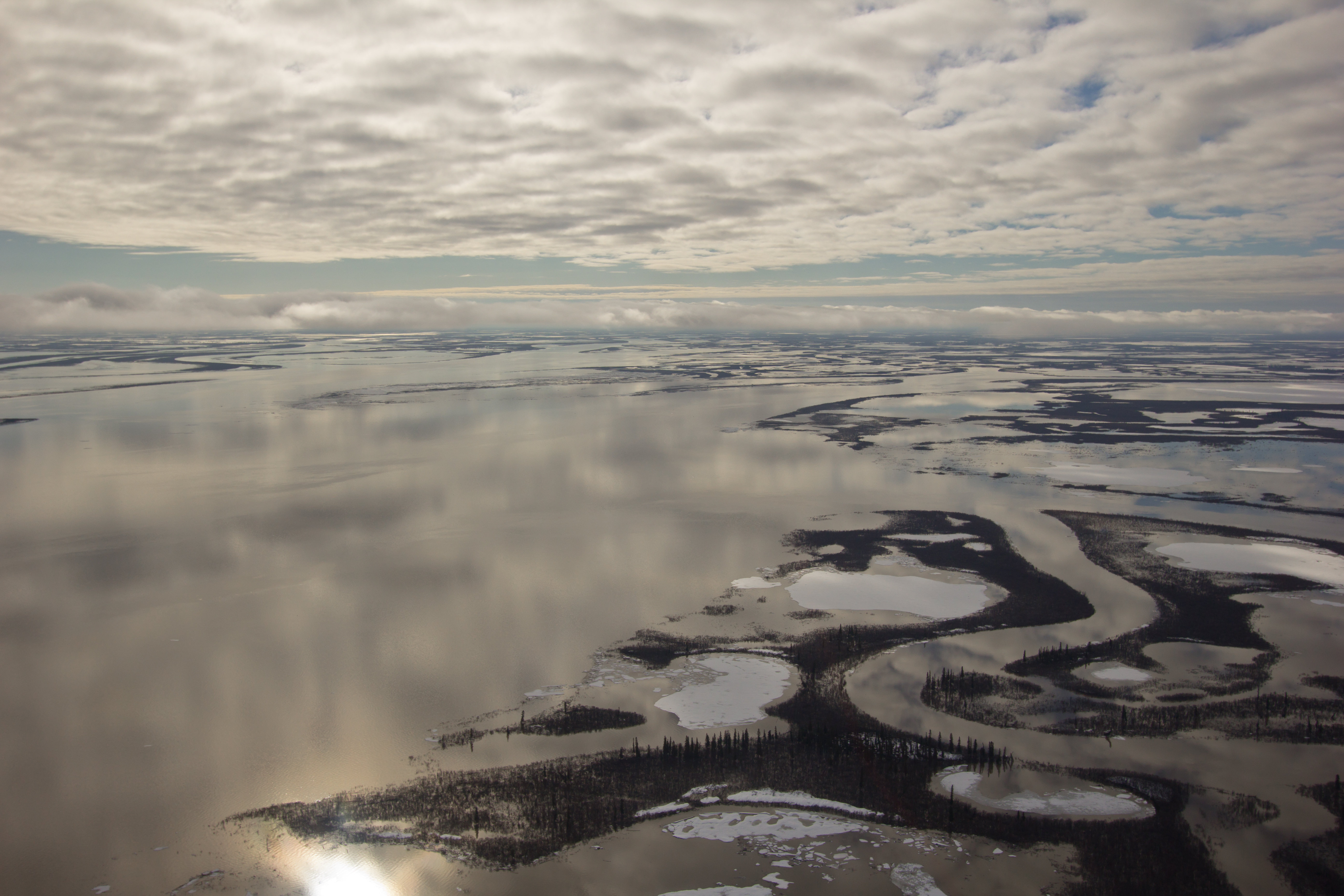 17 Stories Mackenzie River Delta, Canada | Wayfair.co.uk