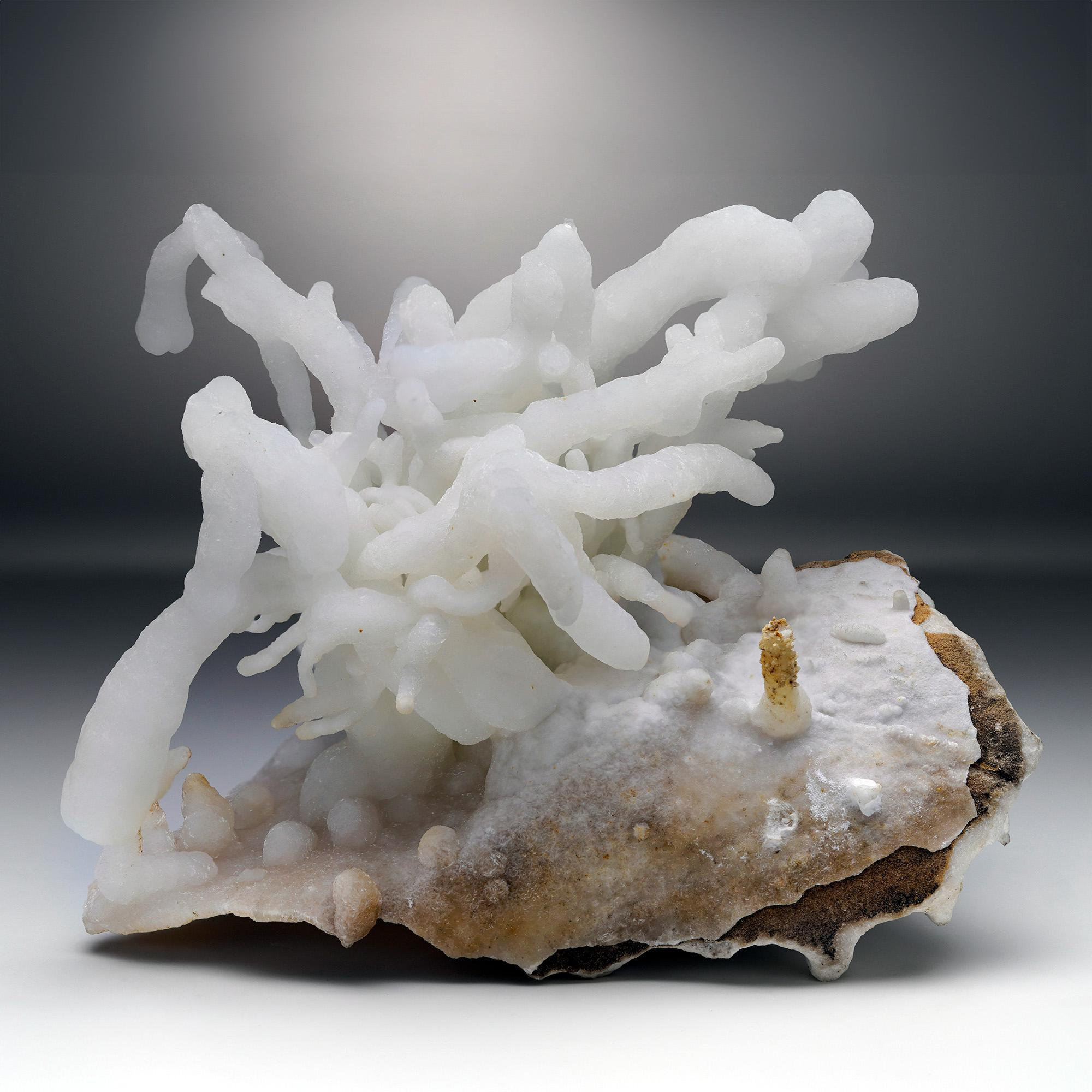 Dakota Fields Calcite Stalactites with Druze From China - Wayfair Canada