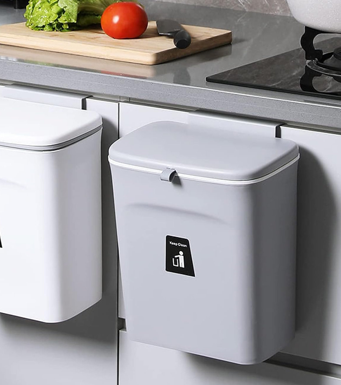 Toledo Bath & Kitchen Plastic Manual Lift Trash Can - 2.4 Gallons | Wayfair
