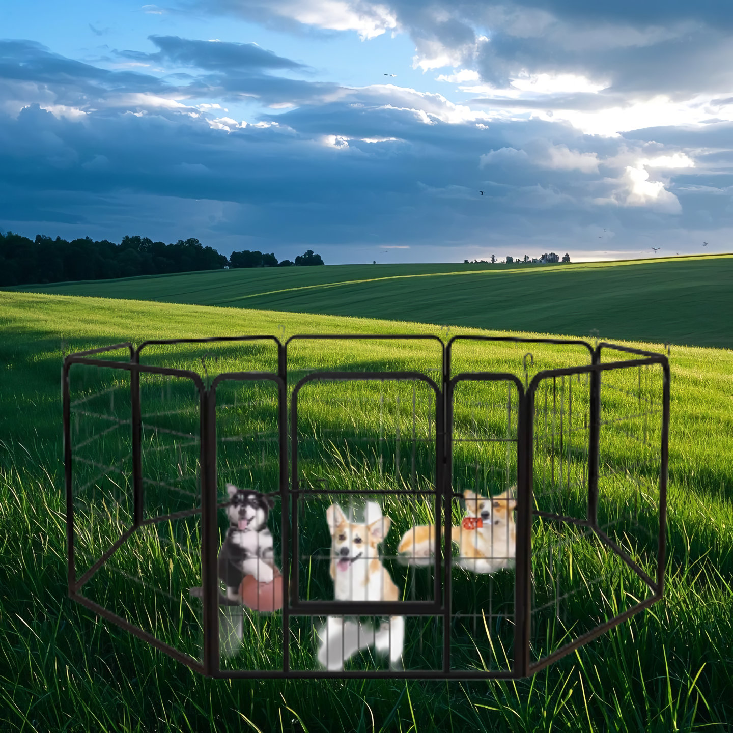 Fandian 8pcs Single Door Pet Fence, Dog Fence Foldable 31.5 * 24 Inches ...