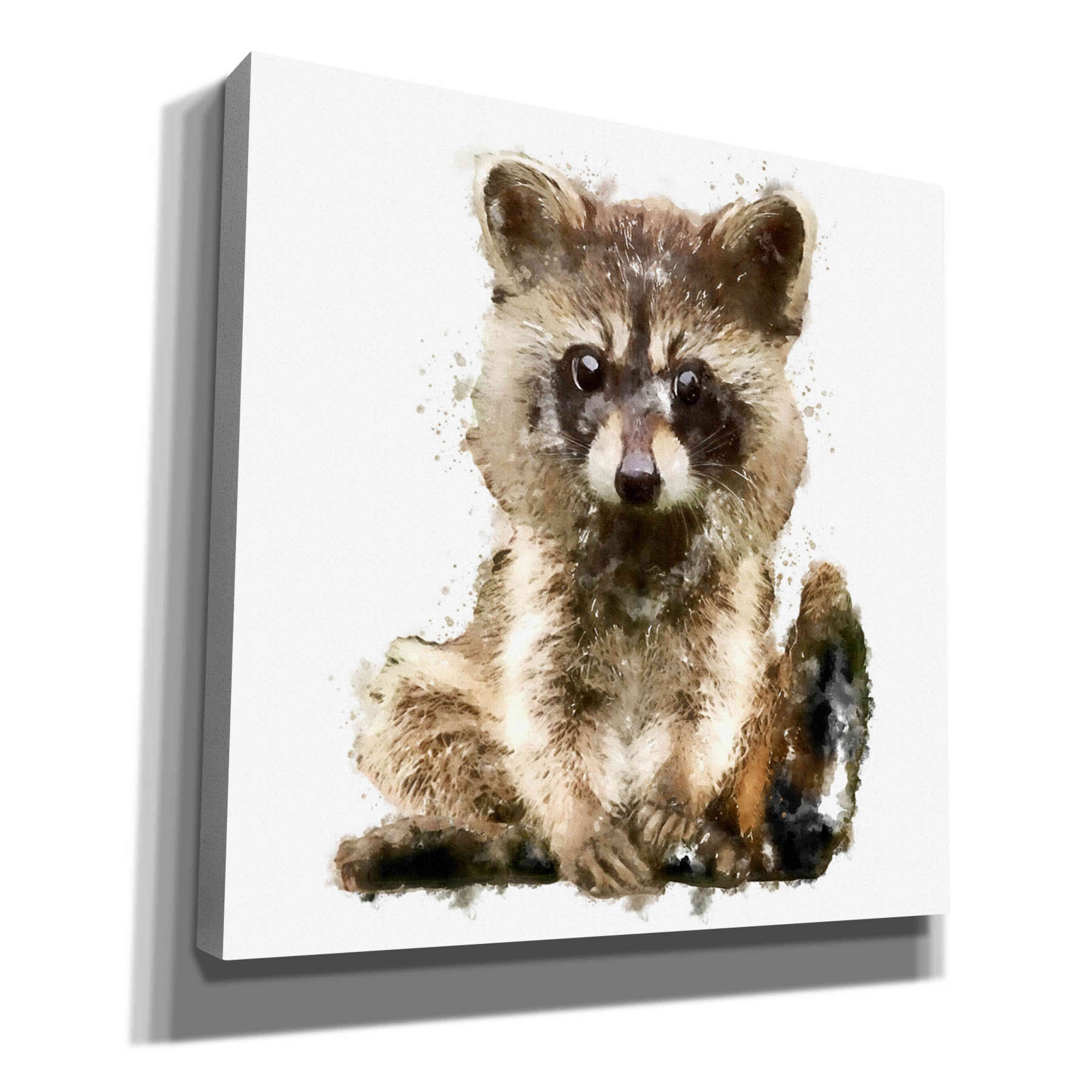 Bungalow Rose Ricky Racoon' By Kim Curinga, Canvas Wall Art | Wayfair