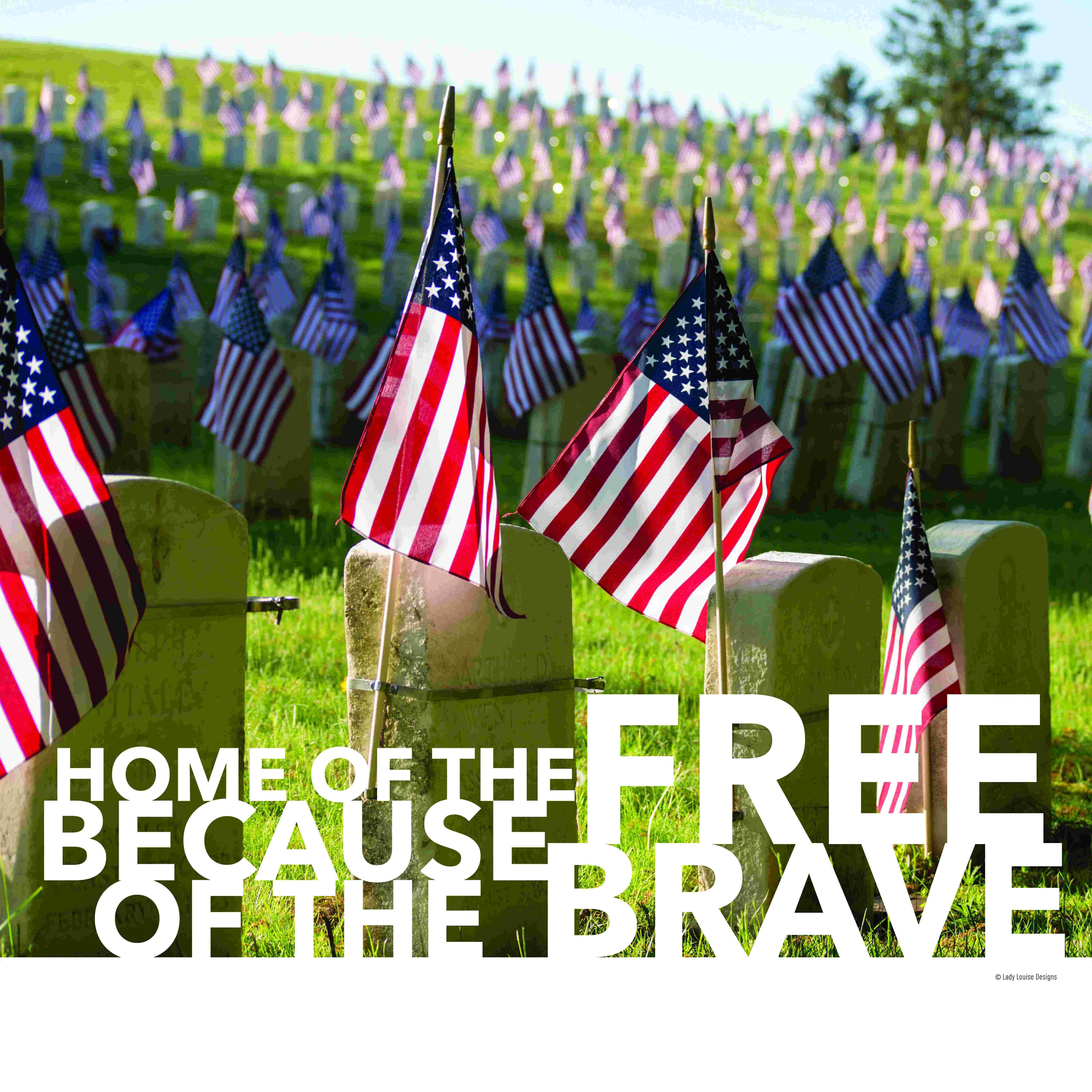 Trinx Because of the Brave - Wrapped Canvas Print | Wayfair