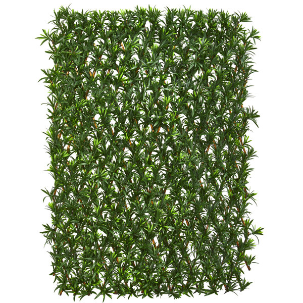 Primrue Expandable Podocarpus Fence UV Resistant & Waterproof | Wayfair