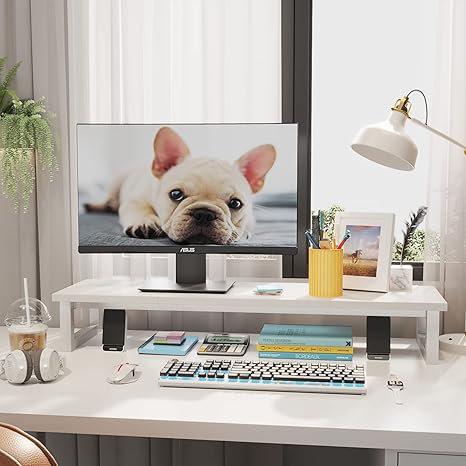 Ebern Designs Ravsten Office Desktop Shelf Organizer For Computer ...