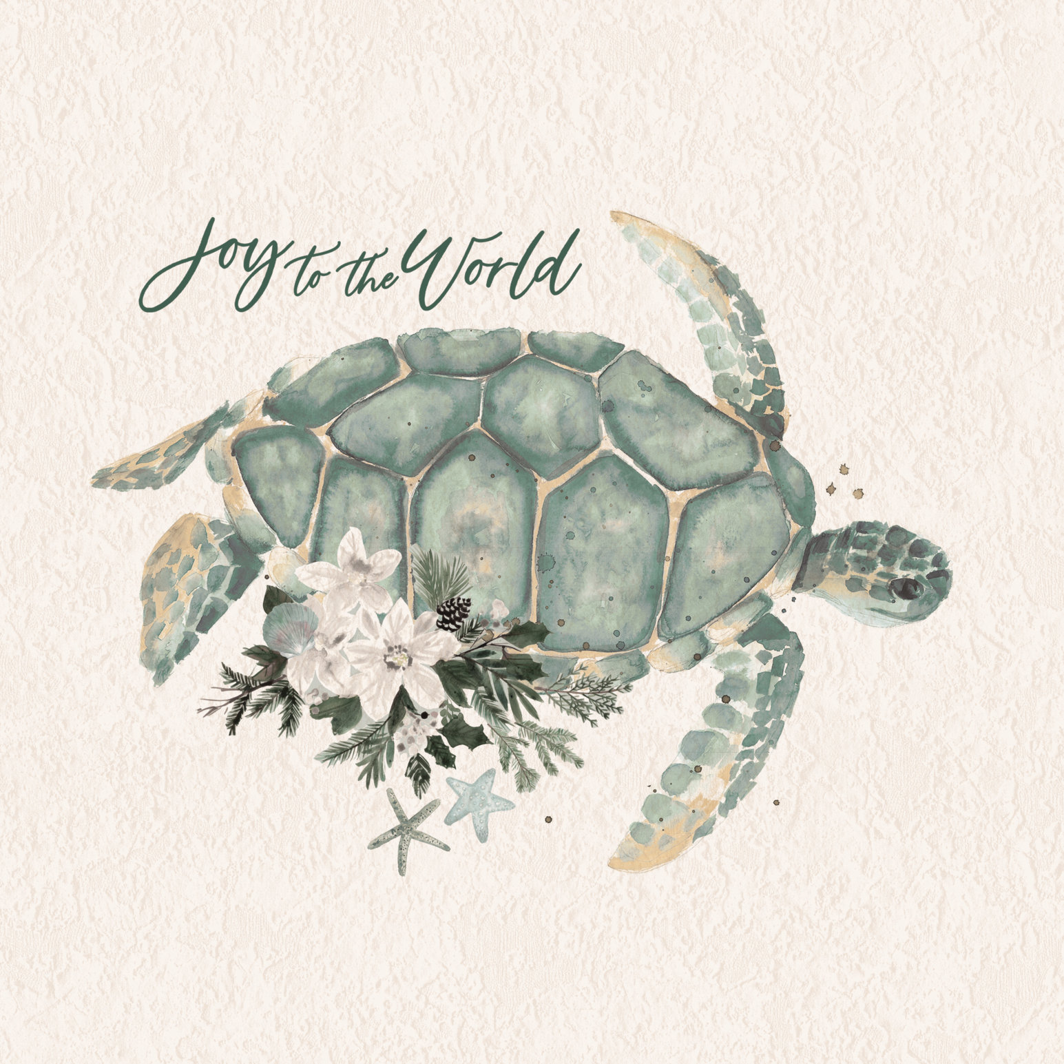 Bay Isle Home™ Christmas Sea Turtle - Wayfair Canada