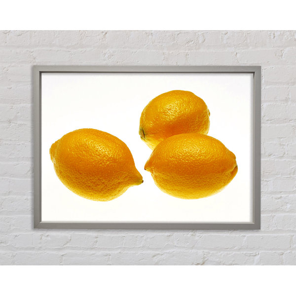 Ebern Designs Lemon Trio - Single Picture Frame Art Prints on Canvas ...