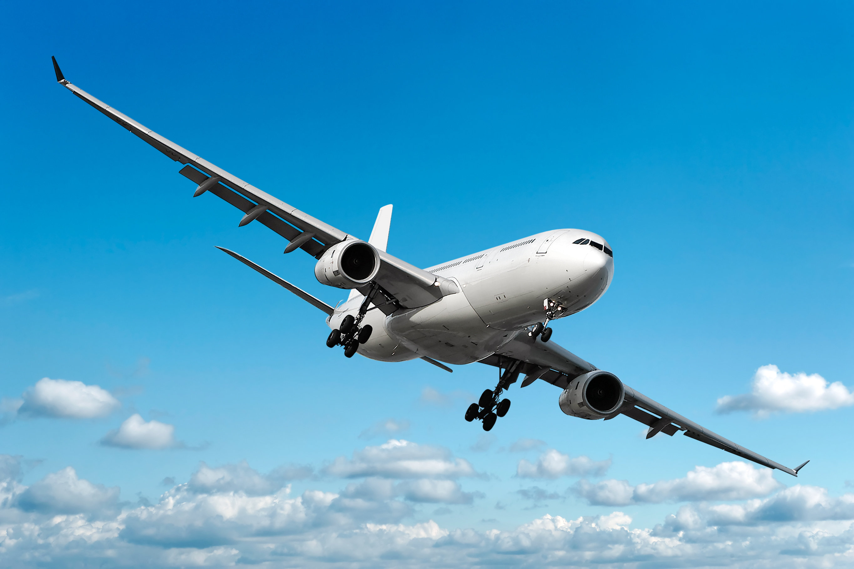 Ebern Designs Jet Airplane Landing in Bright Sky by Sharply_Done | Wayfair