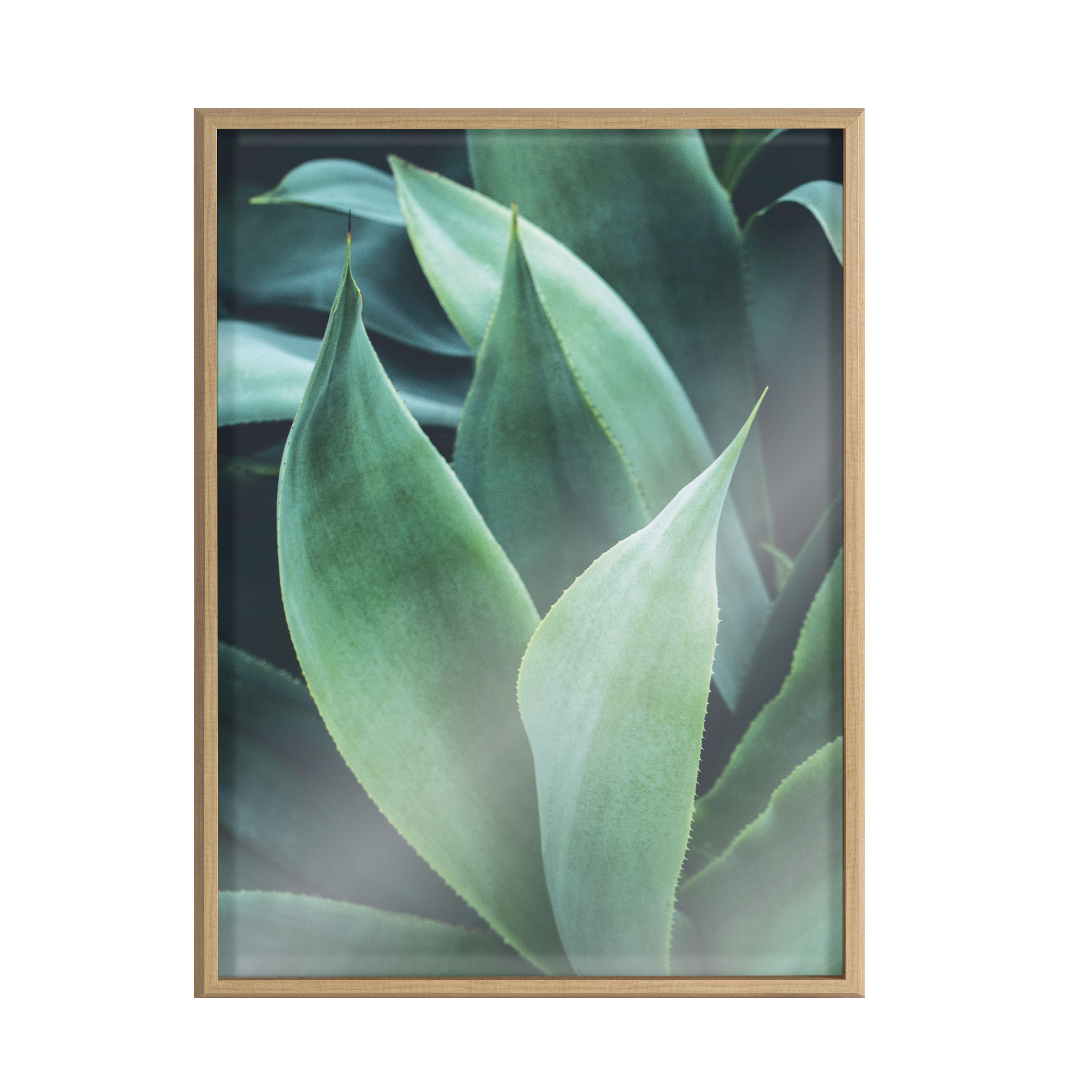Dakota Fields Agave II by Emiko And Mark Franzen Of F2 Images - Floater ...
