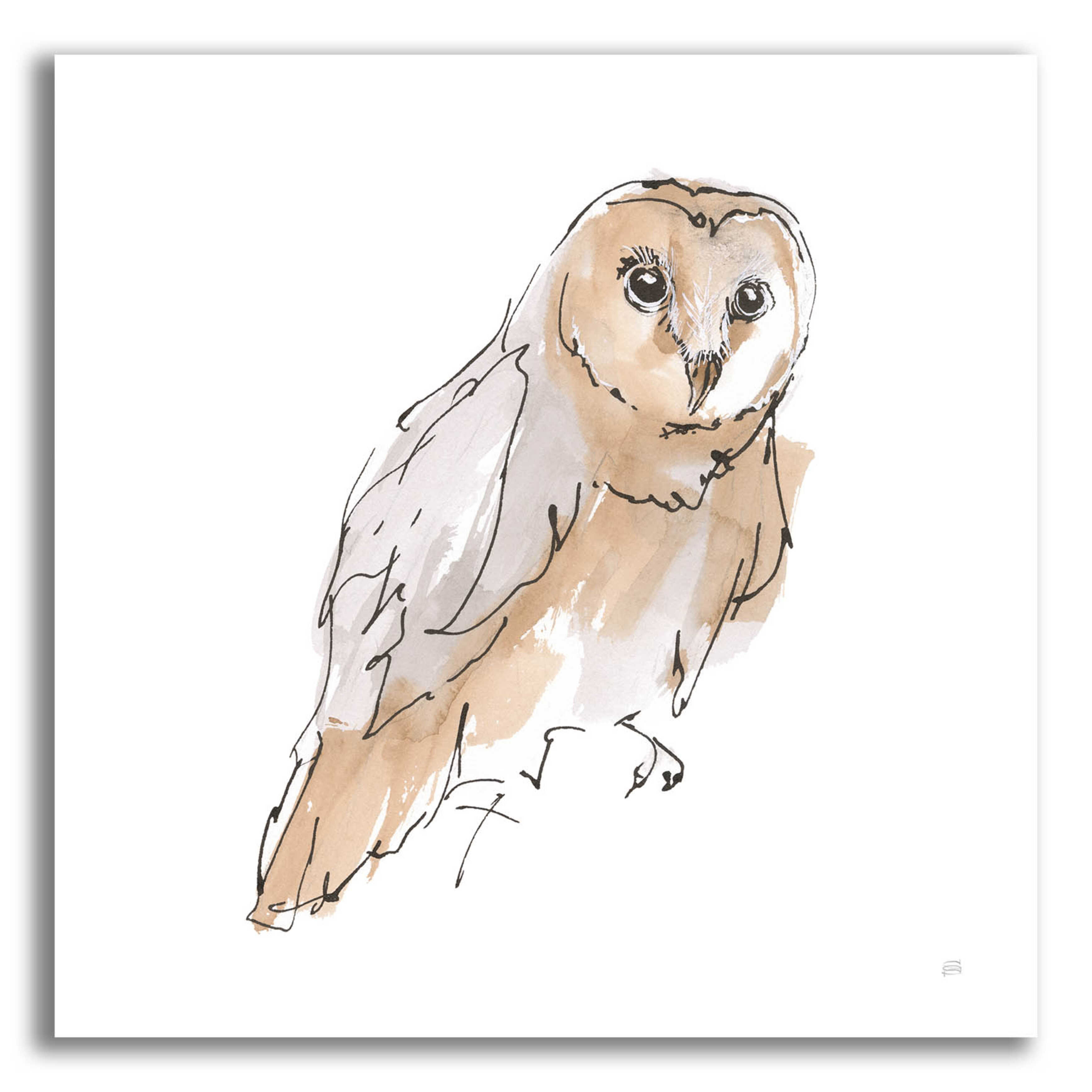 Millwood Pines " Barn Owl VI " by Chris Paschke | Wayfair