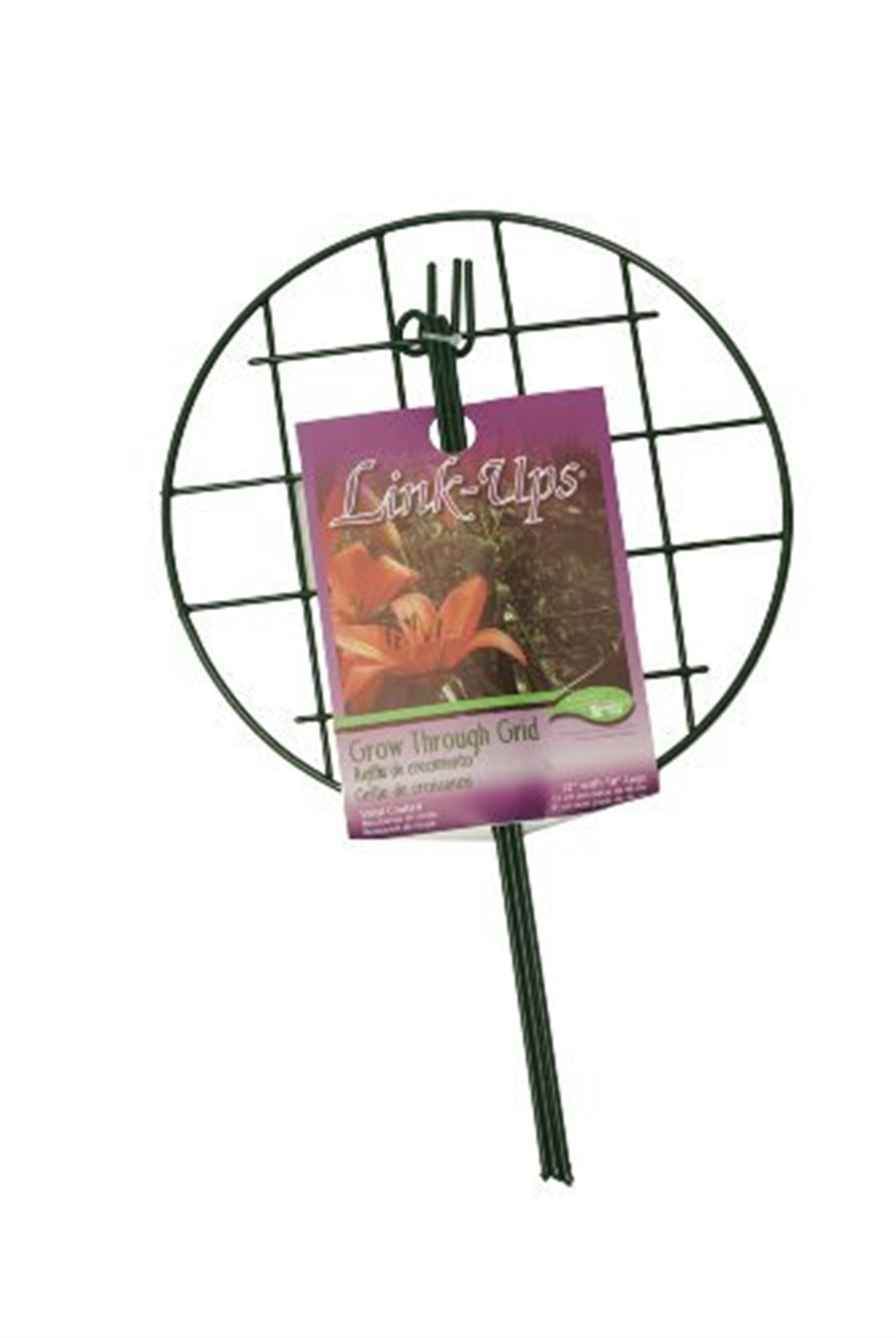 Arlmont & Co. Langweil 6'' H x 8.5'' W Metal Stake Support Plant ...